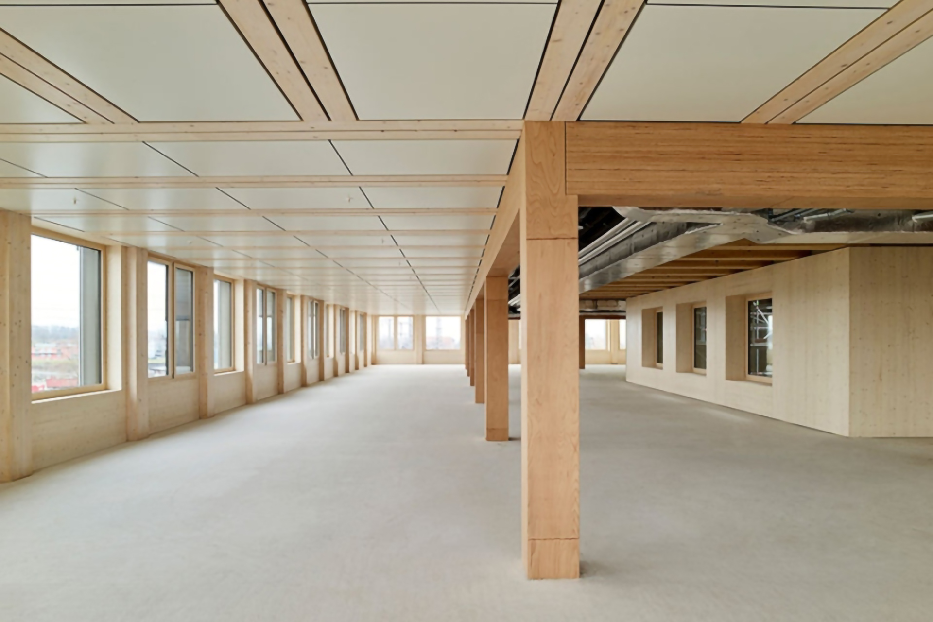 Ceiling coverings - plaster ceiling & mineral fiber ceiling